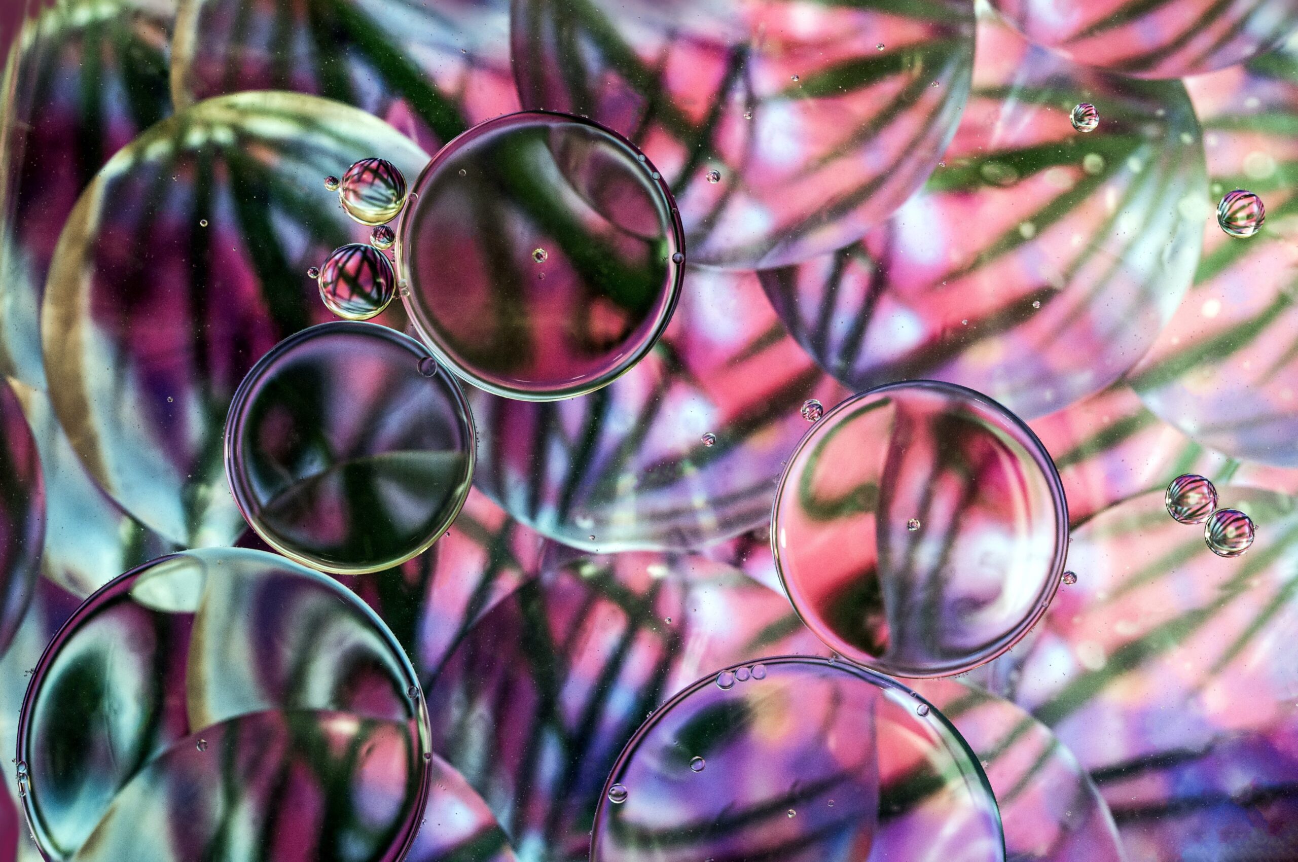 ACDS Annual General Meeting and Conference October 2021 - ACDS