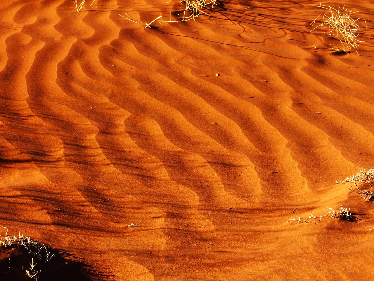 Indigenous Science - ACDS